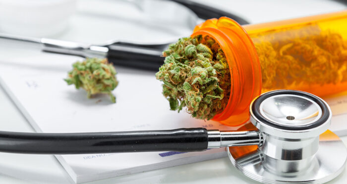 Mariamed | Quiénes Somos